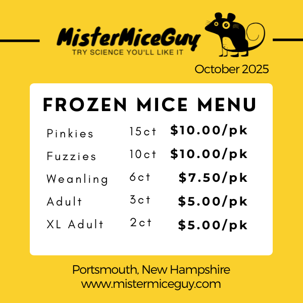 Frozen Feeder Mice – MisterMiceGuy